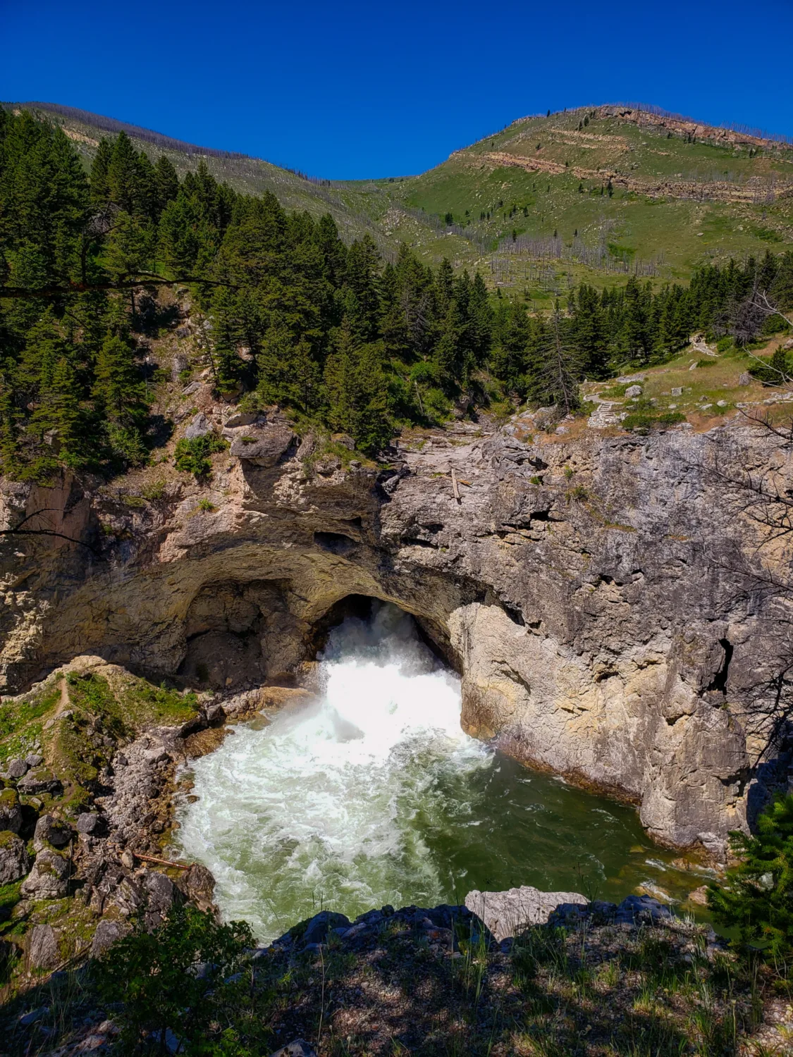 Sweet Grass Solutions - Sweet Grass Solutions